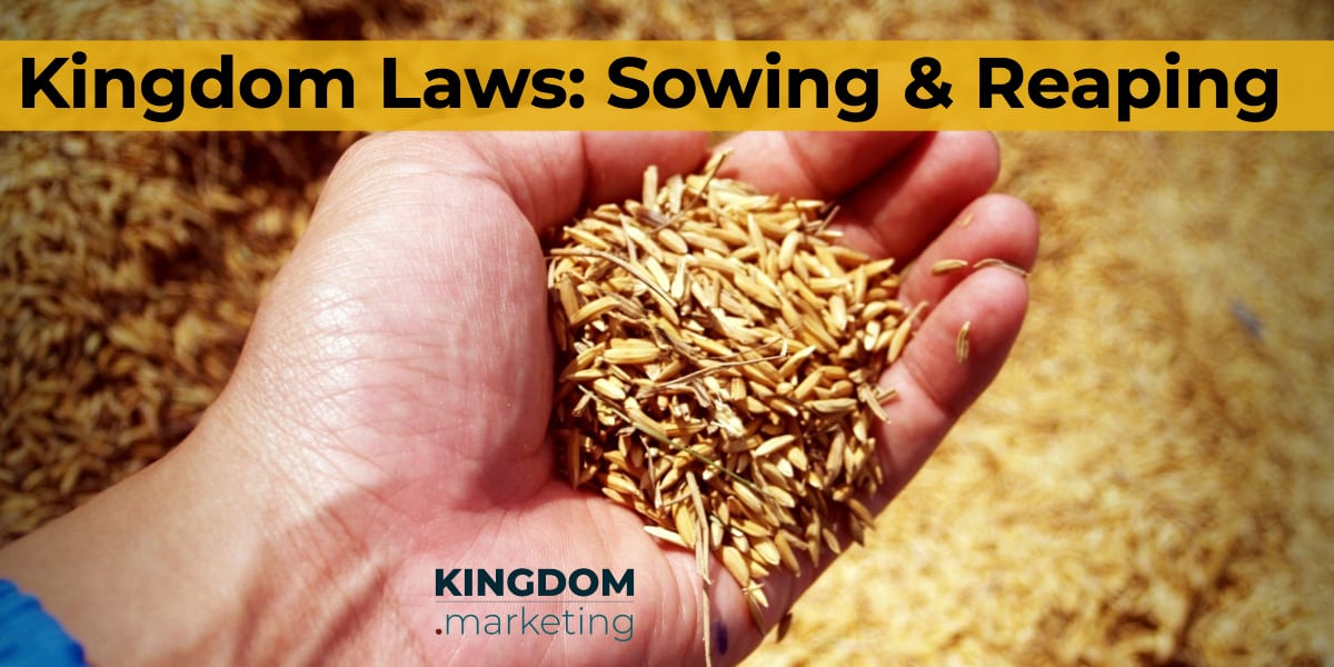 Kingdom Laws: Sowing and Reaping | Kingdom.Marketing
